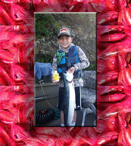 Curing Coon Shrimp The Easy Way – Addicted Fishing