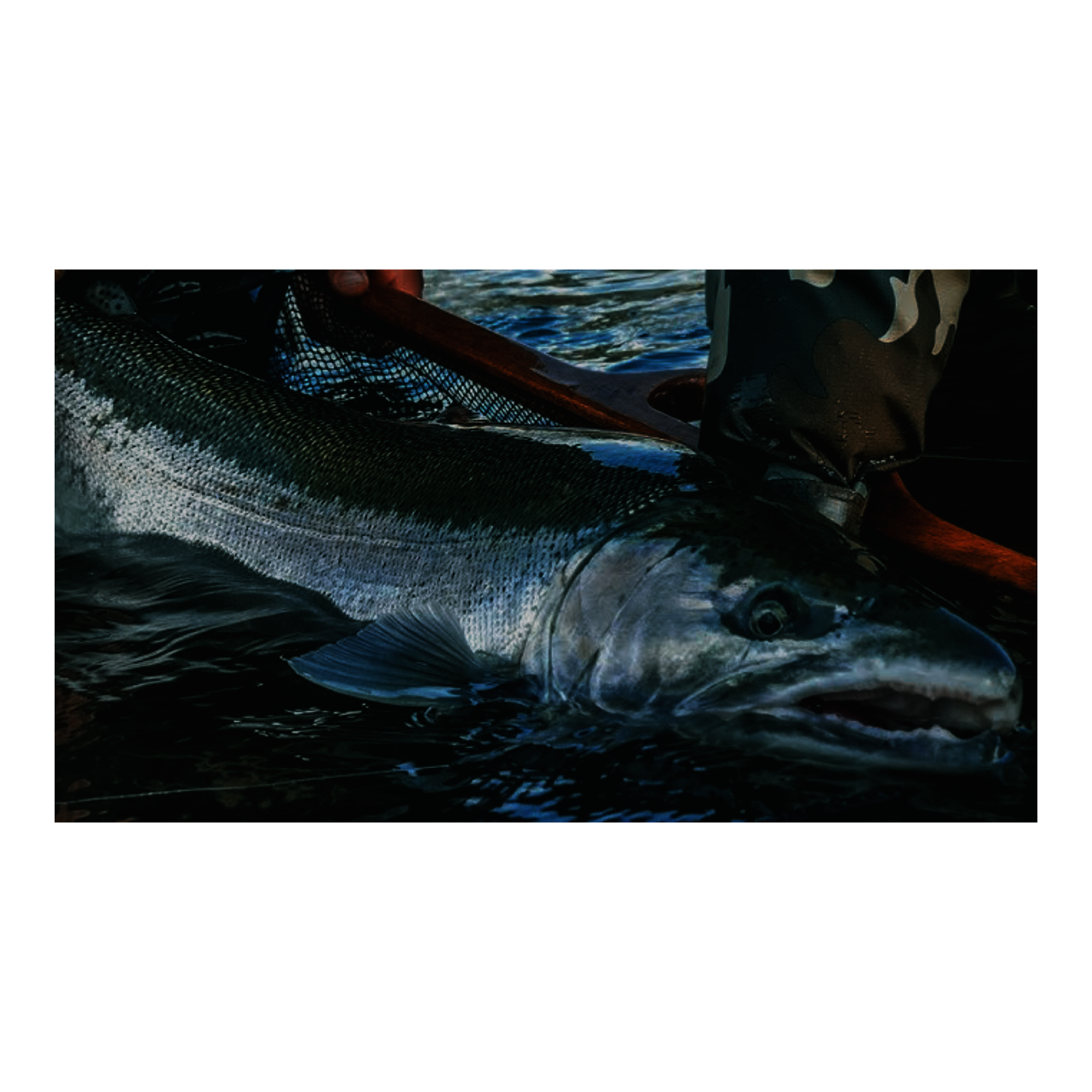 Winter Drop 2025 – Addicted Fishing